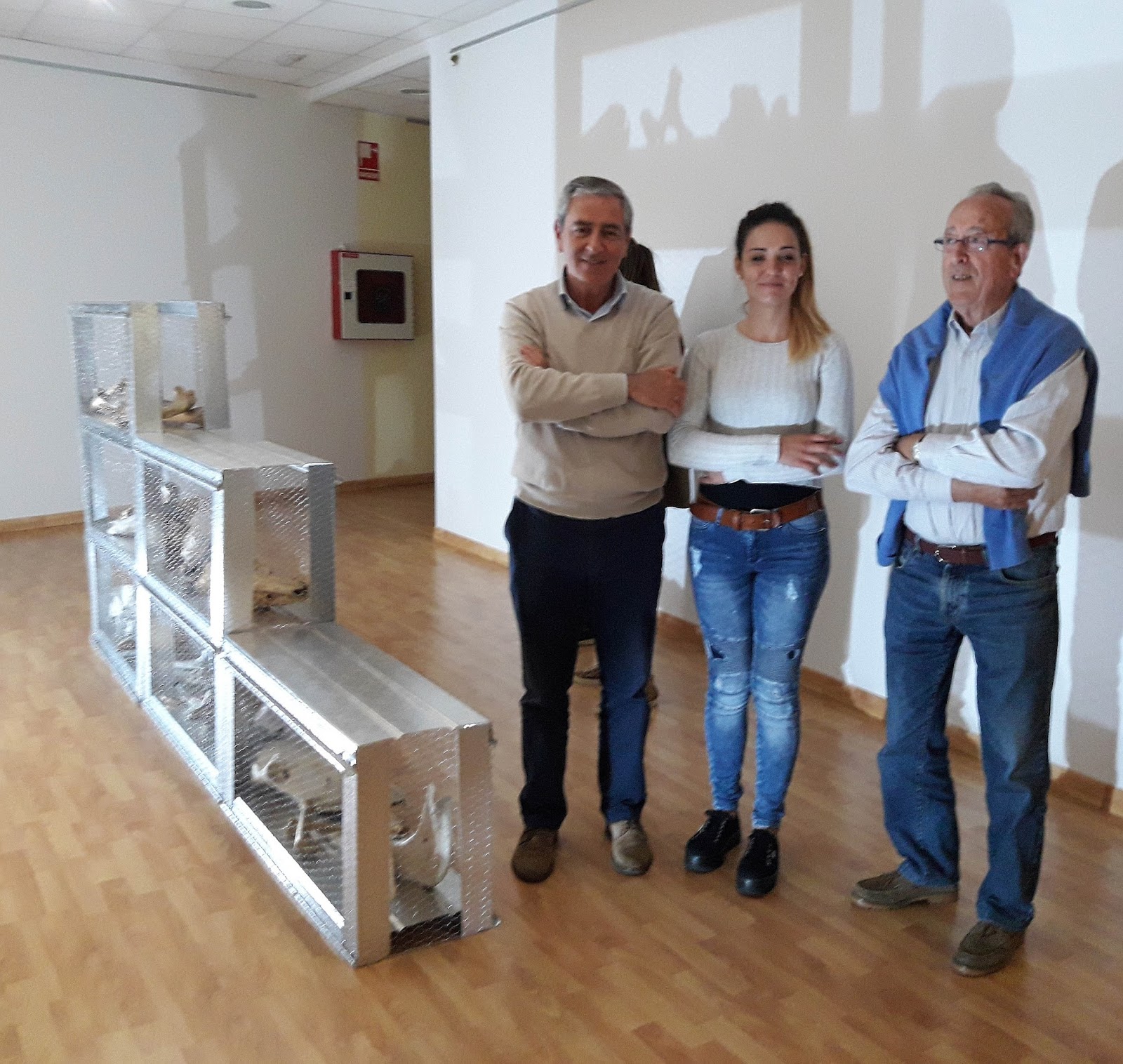 Torrelavega, cruce de caminos: Suances: La Casa de Cultura Fernando ...