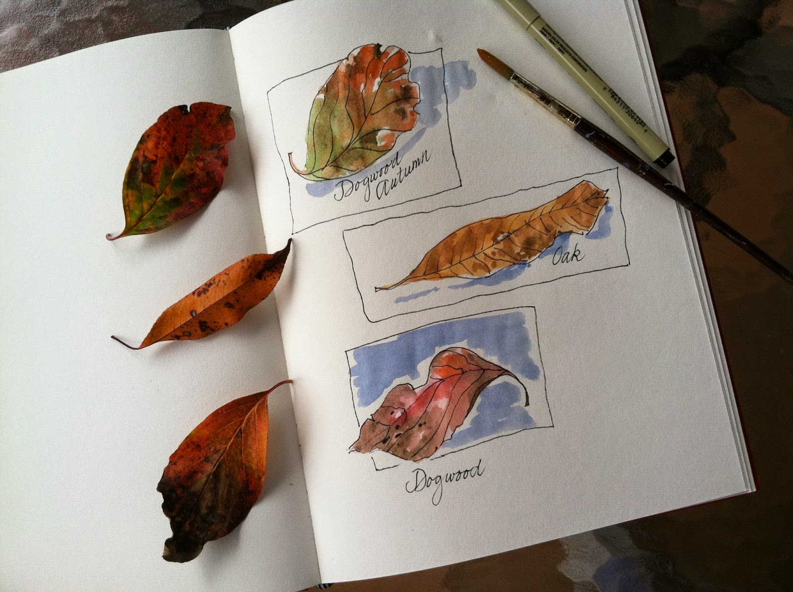 The Painting Page : Sketch Book - October Leaves!