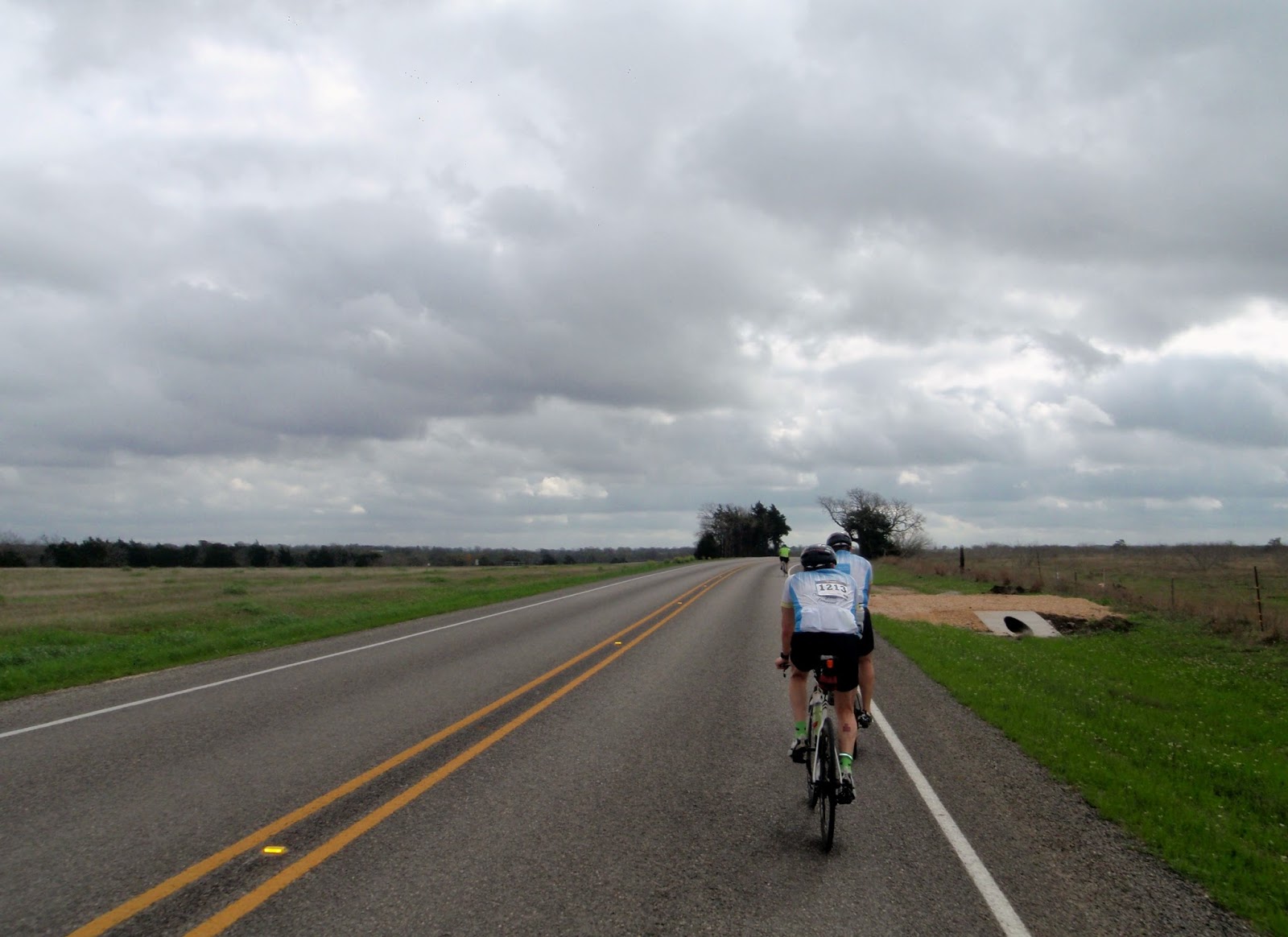 Pedal Pushers: Pedal Through the Pines