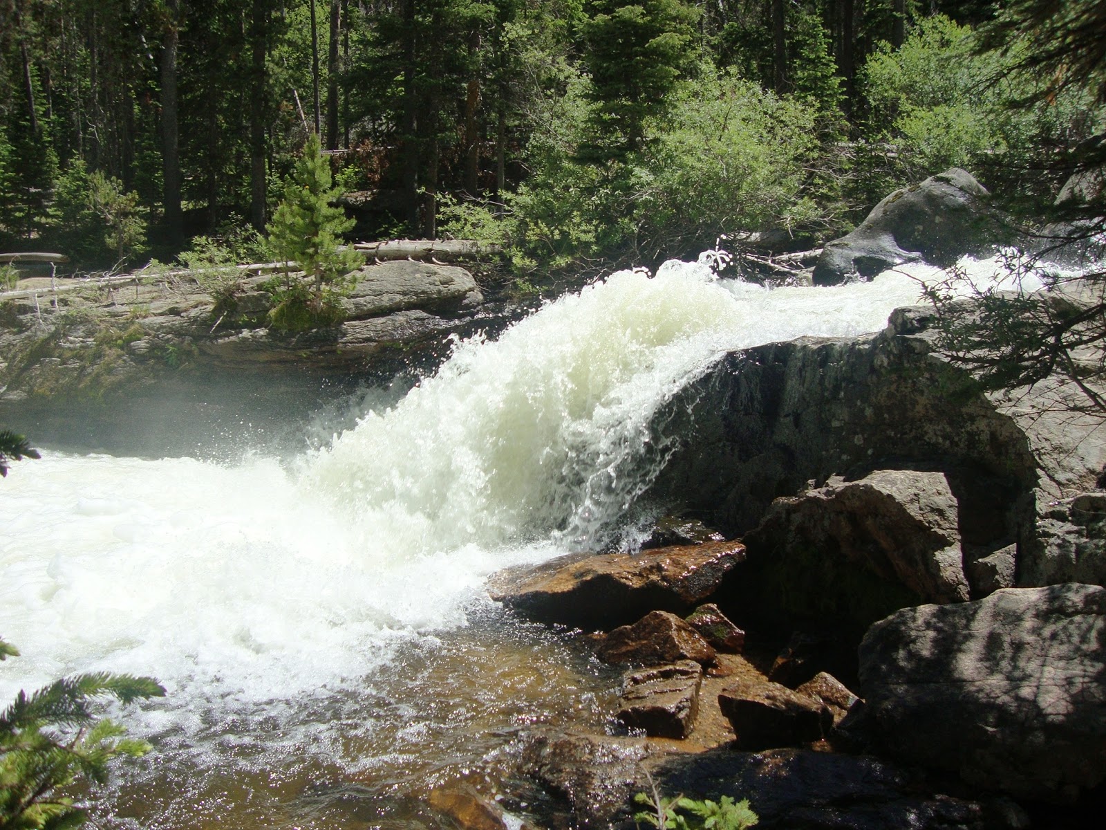 Day Hiking Trails: Trail offers fantastic views of Longs Peak