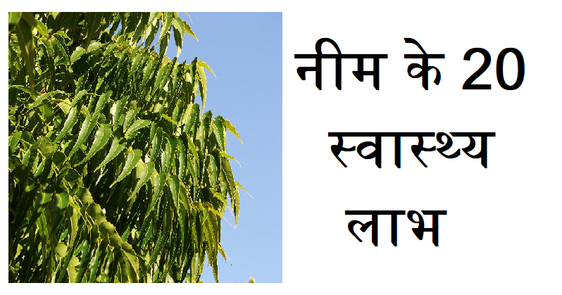 Neem Leaves Uses In Hindi 20 Gyan Hindi Gyan neem-leaves-uses-in-hindi-20-gyan-hindi-gyan