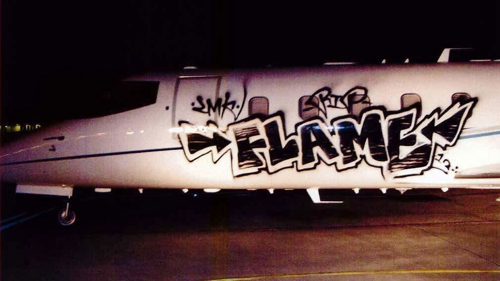 The Narrowleaf Chronicles: Canadian and American Graffiti/Murals, Lear ...