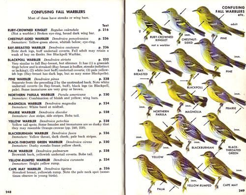 WarblerWatch: Warbler Guy, where can I quickly learn more about ...