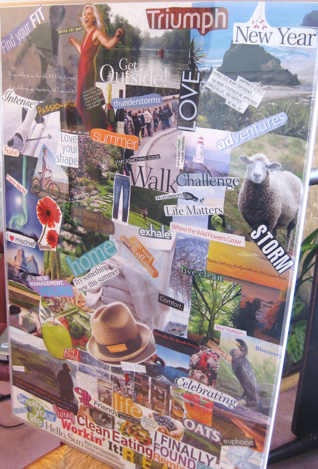 Life Begins at Retirement!: My Vision Board 2012