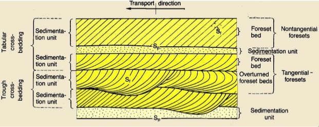 Estructuras primarias inorgánicas (internas) ~ Sedimentologia para todos