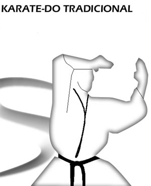 Pasión Karate-Do: El Karate Do