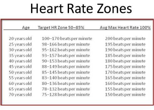 Average Heart Rate During Exercise - Workouts Life