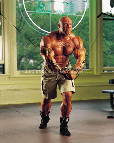 video bodybuilding: Shaun Davis Photo Gallery, Pics, Pictures ...