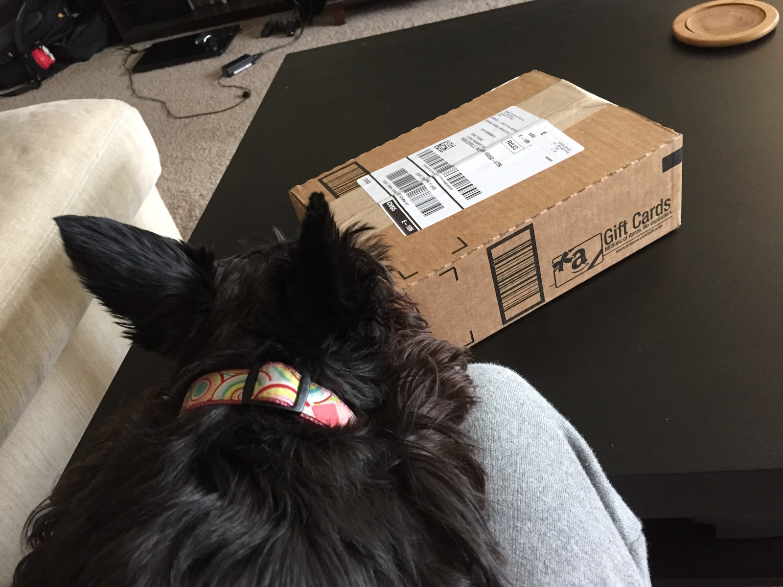 iPhone 6 on Carson Universal Telescope Adapter [Stellar Neophyte ...