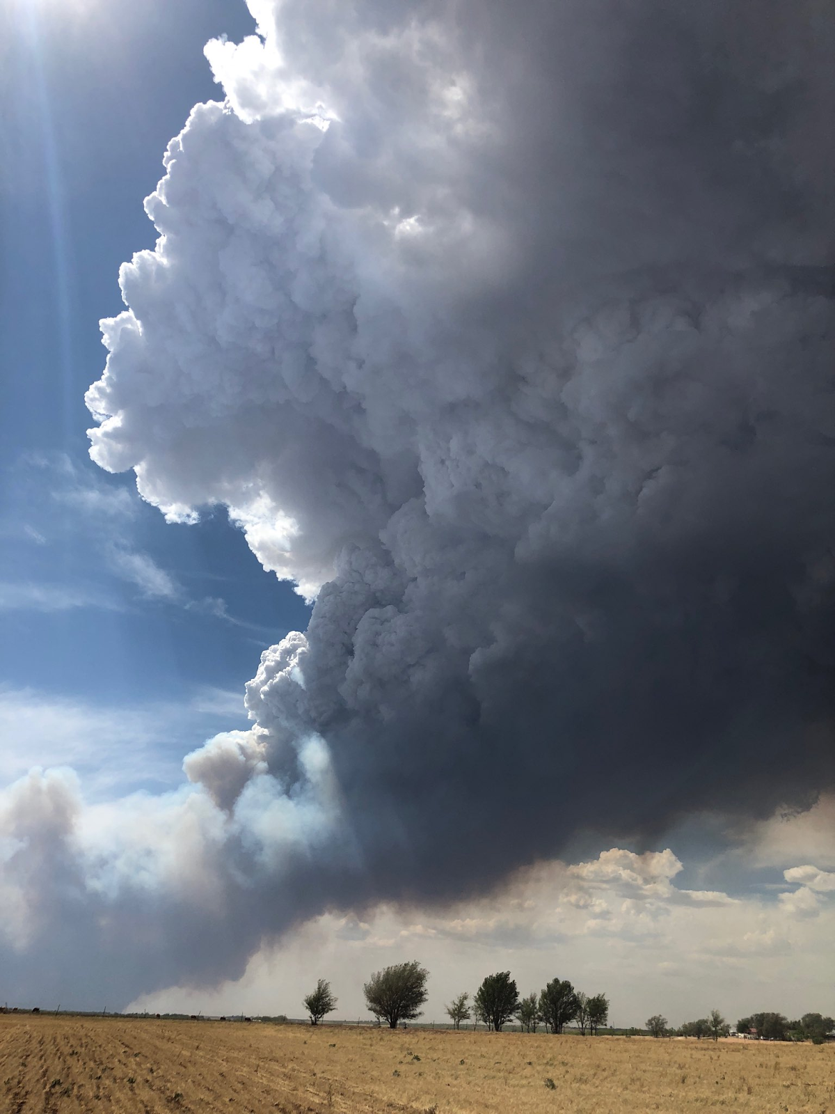 Large Texas Panhandle Wildfire Generates Pyrocumuls Cloud That Becomes ...