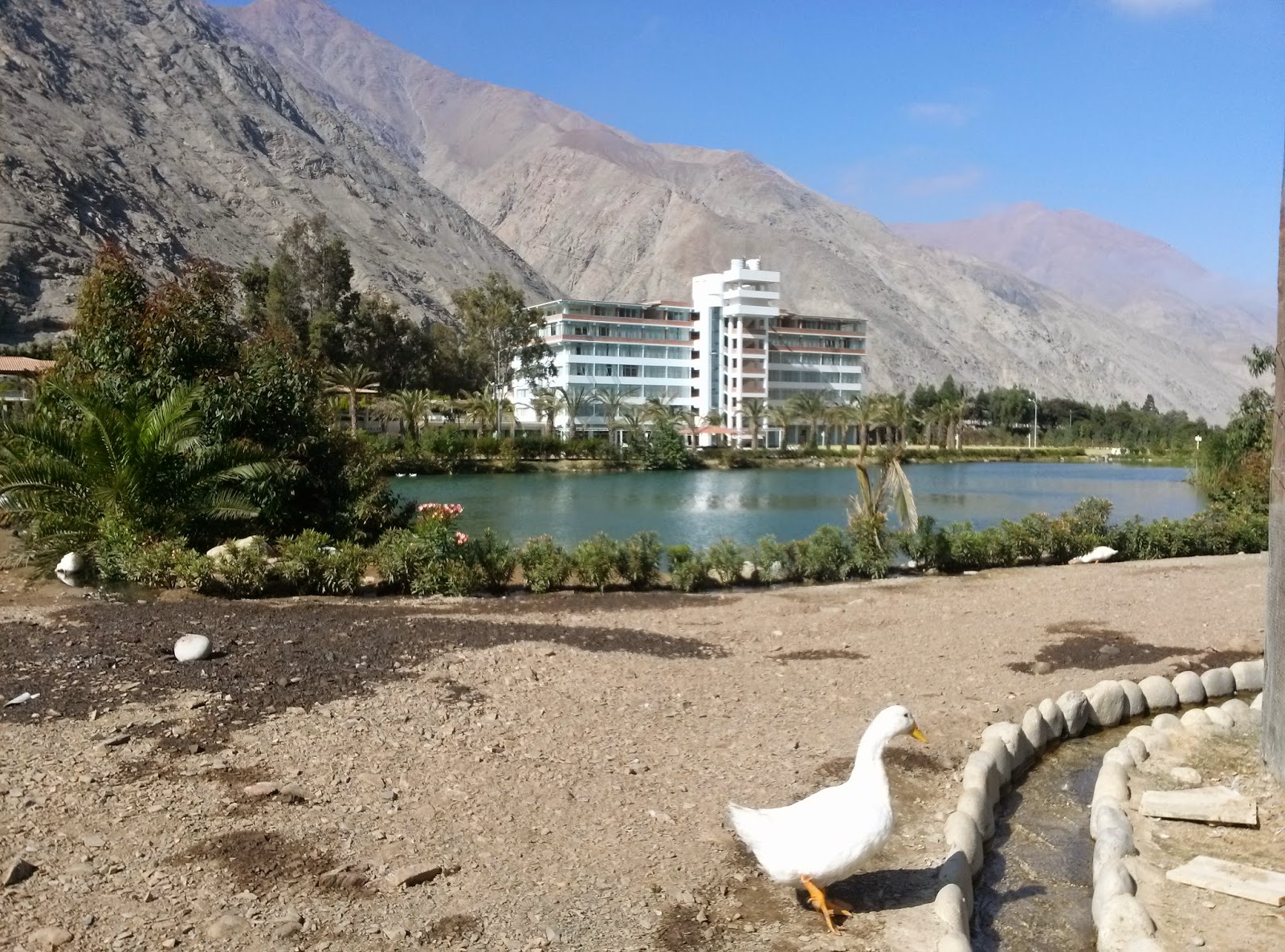 Conociendo el Perú - ¿A donde puedo viajar?: Conociendo el Sur Chico ...