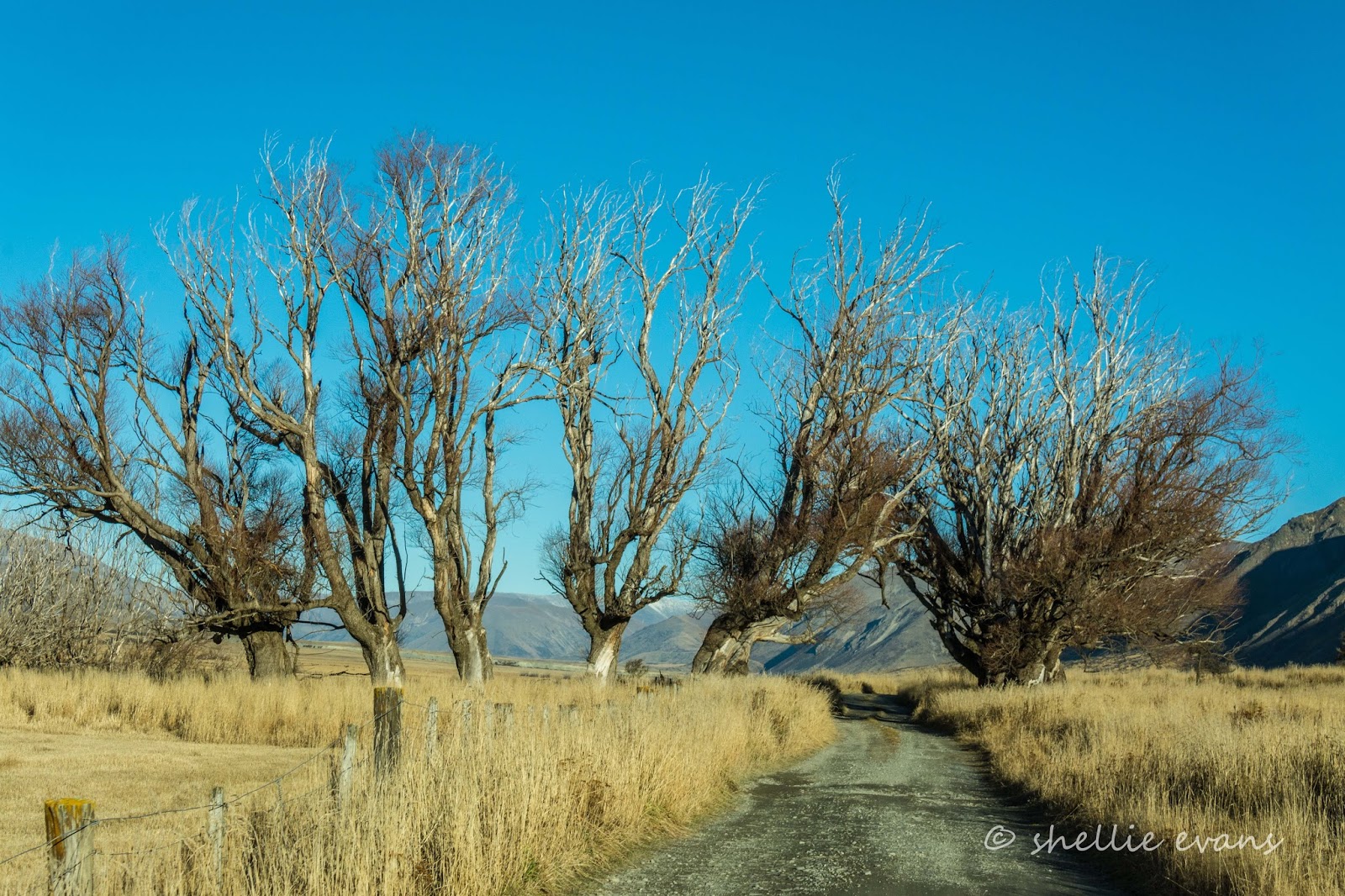 Two Go Tiki Touring: The Remote Ahuriri Valley- Part 1
