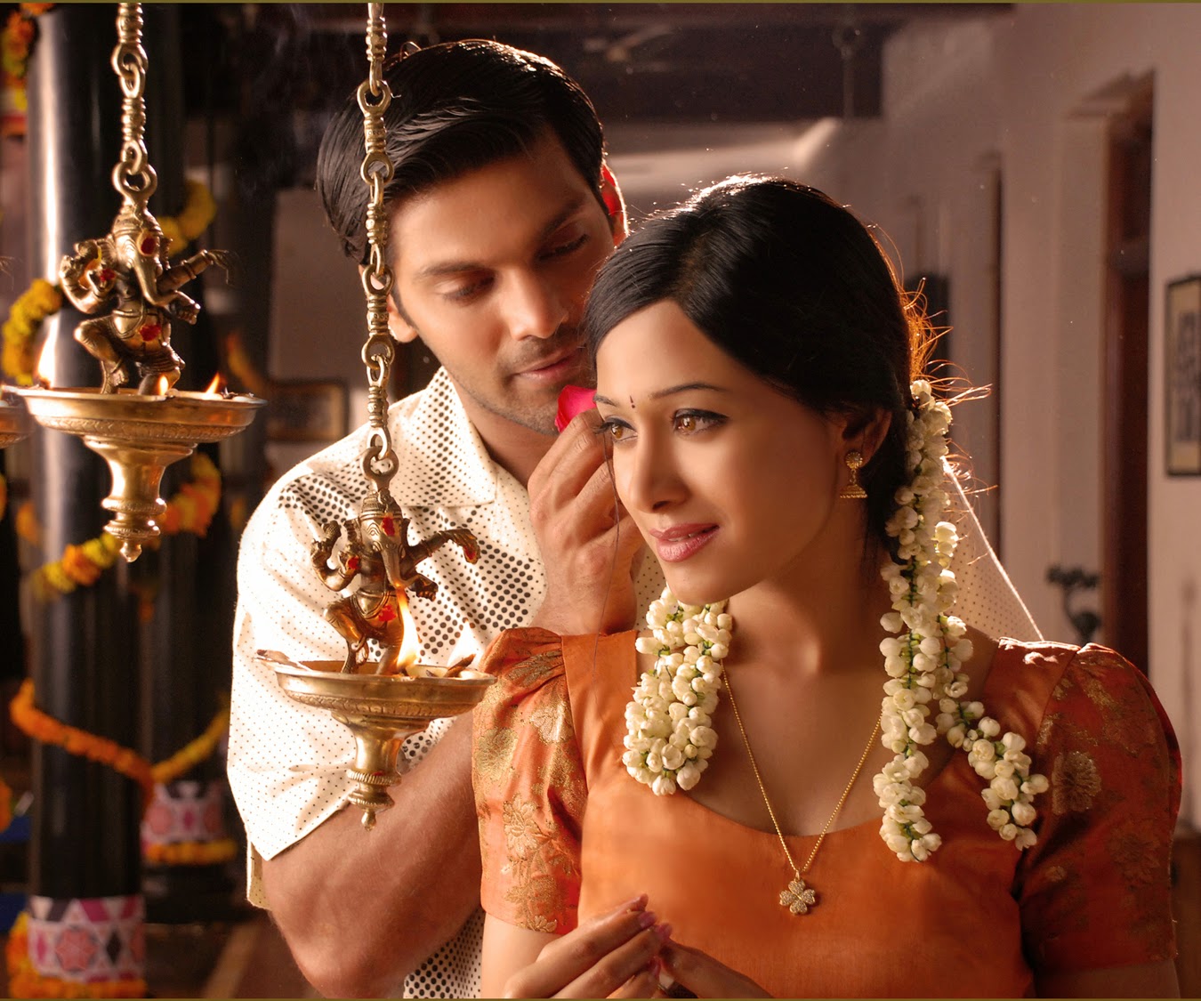 Find Preetika Rao Hot & Sweet never before seen Saree Stills ( Saris )