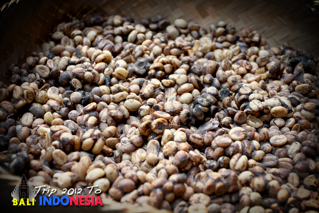 ChiLaBaey's Spot: Trip To Bali Day 2 : Spicey Garden, Tahi Musang Pun ...