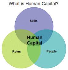 Human Resource Management: THE CONCEPT OF HUMAN CAPITAL