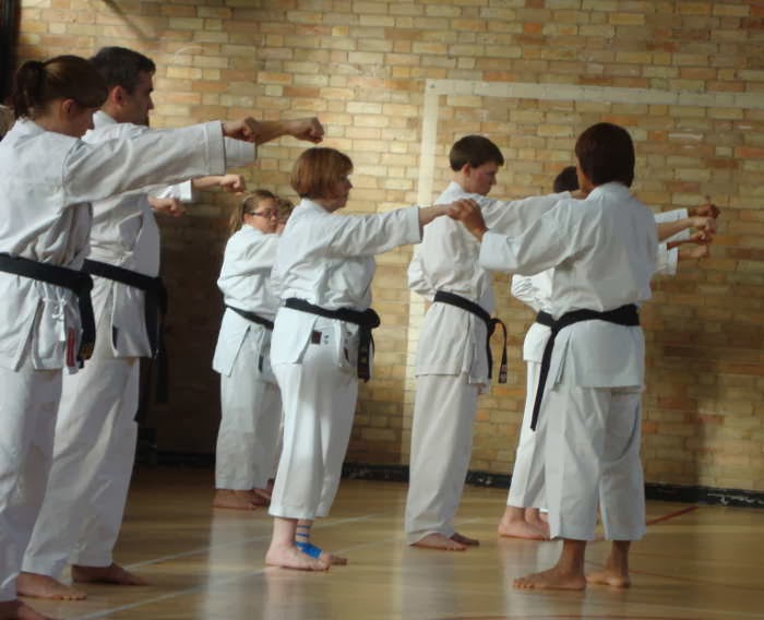 Karate For Beginners: 2014