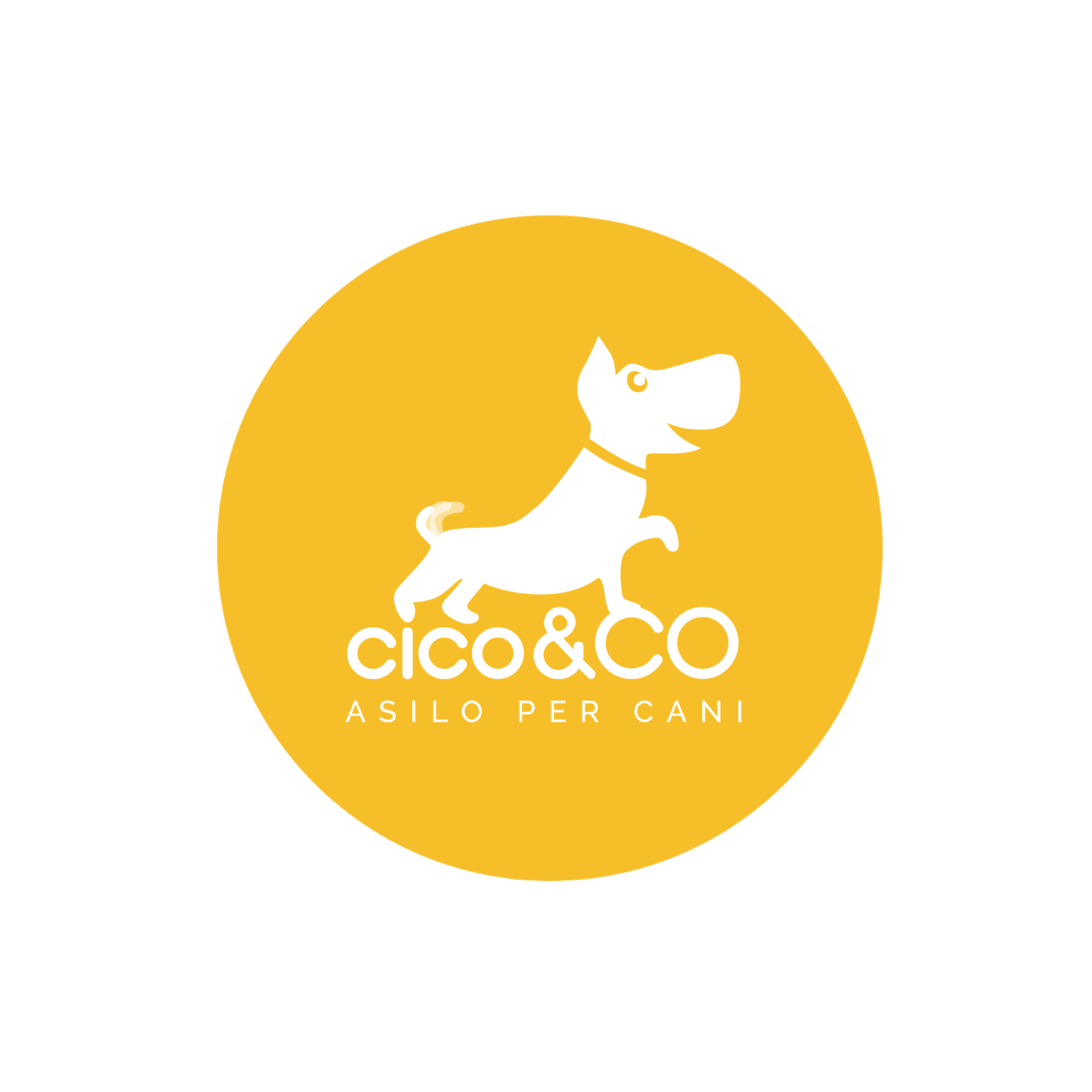 Asilo Per Cani Eur attività cinofile dal cucciolo al cane adulto come ...