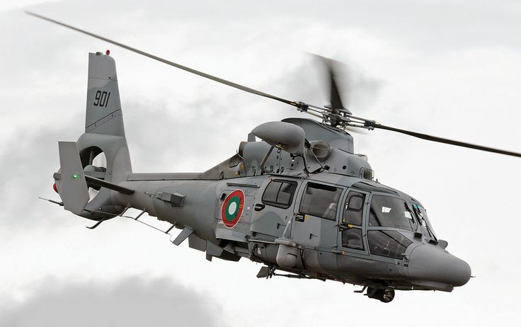 Military and Commercial Technology: A Panther helicopter of the ...