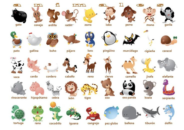 VOCABULARIO - Los animales / las mascotas