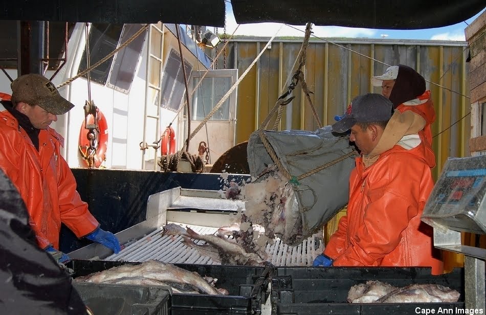 Cape Ann Images: Life On The Dock