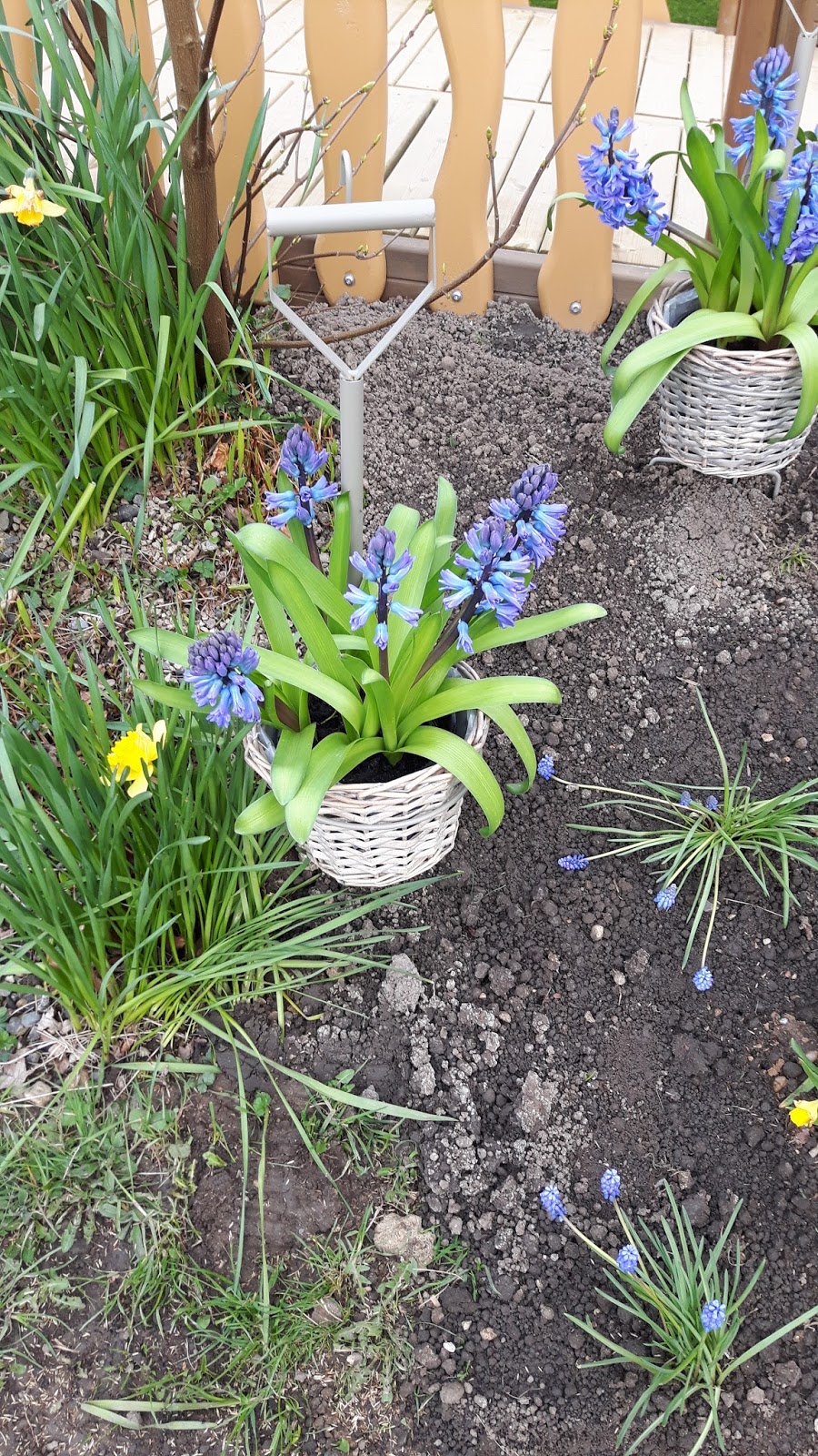 Willows Activity Farm - The new Peter Rabbit Adventure Playground ...