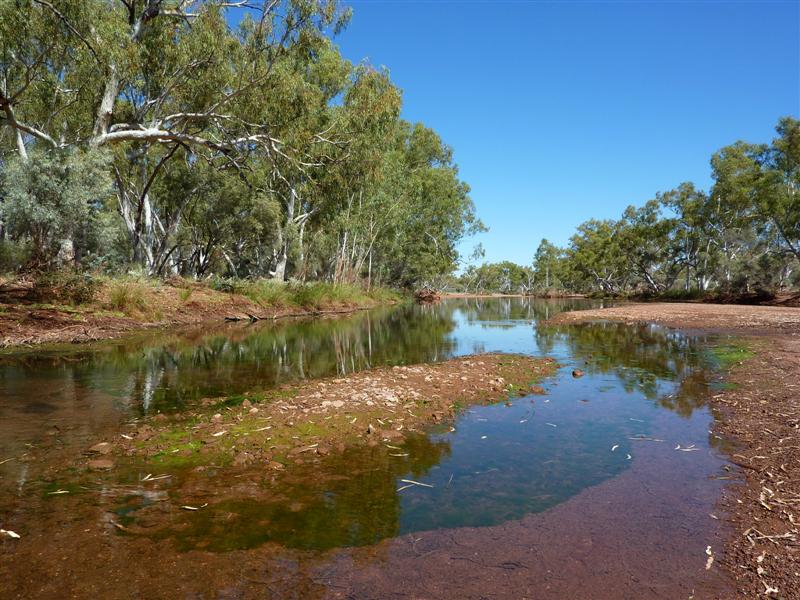 WA Zoologist: Tom Price