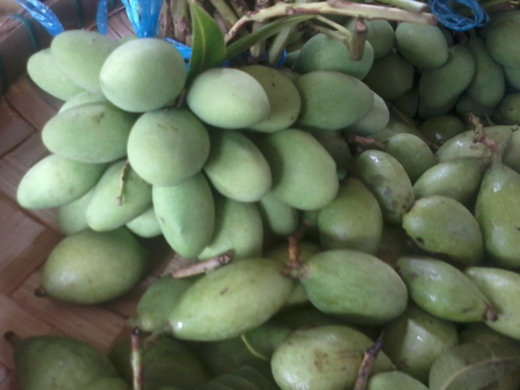 everything's herbed.....: Paho