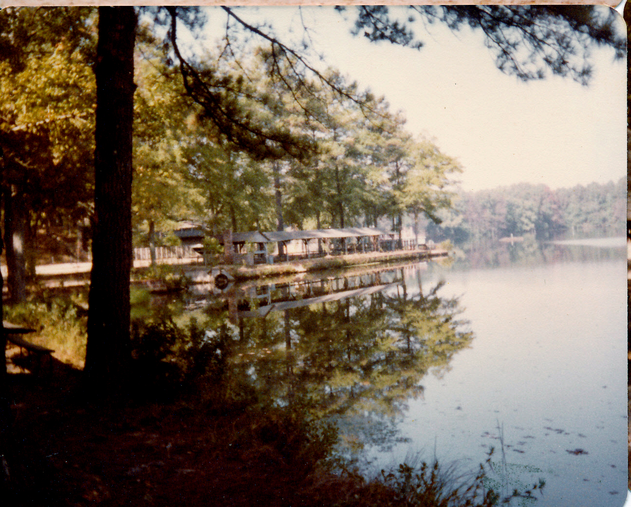 LAKESIDE PARK - OCTOBER 6, 1981 - JANE SCOTT THOMPSON AND SCOTT B. THOMPSON