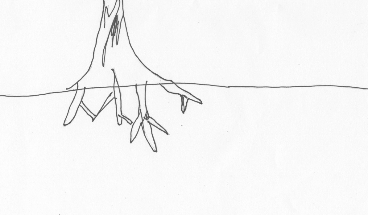 Life Before the Dinosaurs: Lepidodendron.