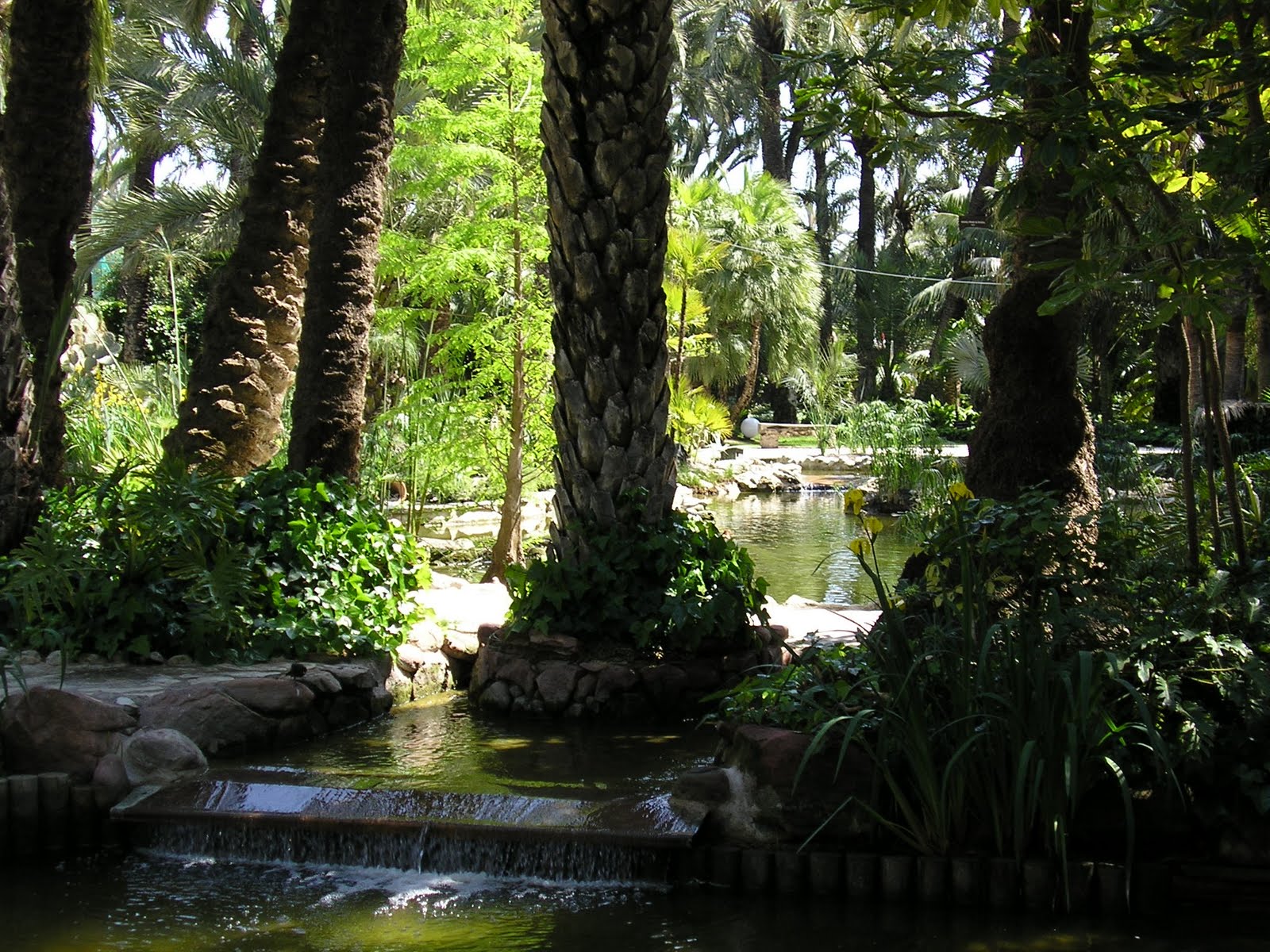 Alicante, Spain: The Palm Groves of Elche
