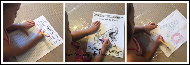 Notebooking-Creative Homeschool Journaling (review) - Treasuring Life's ...