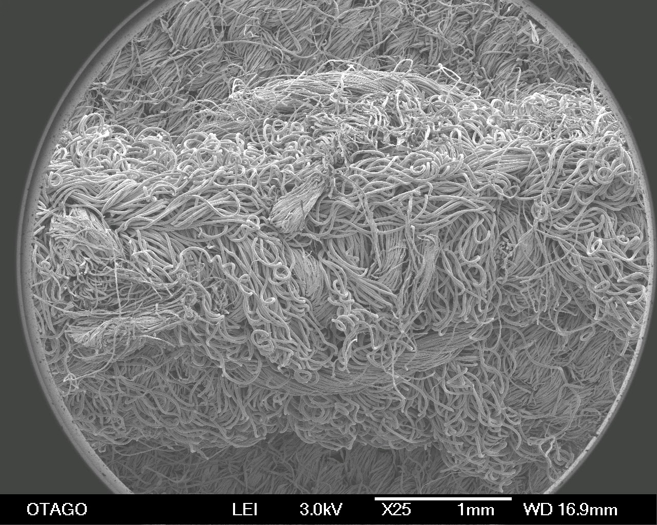Forensic textile science: October 2012