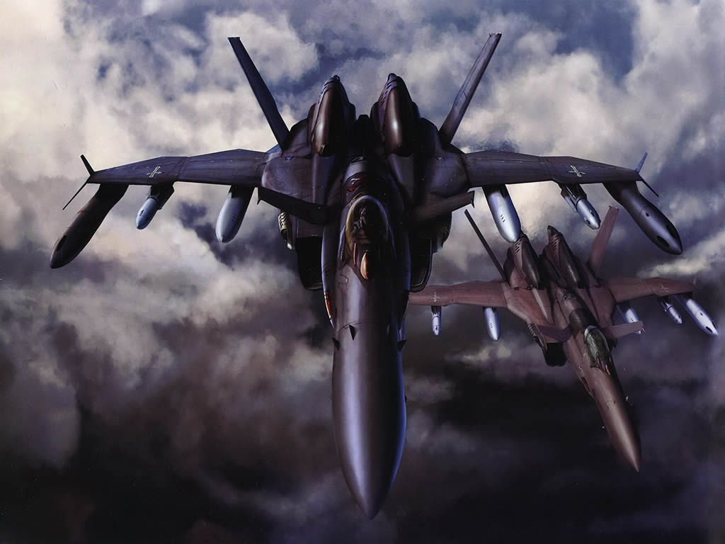 The Cat: Jet Fighter Wallpapers