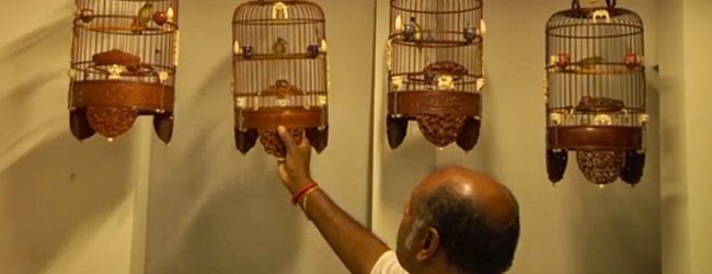 Mata Puteh : Puteh Care