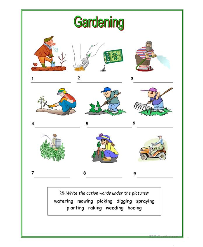 FPB - IES San Rosendo: Gardening Vocabulary
