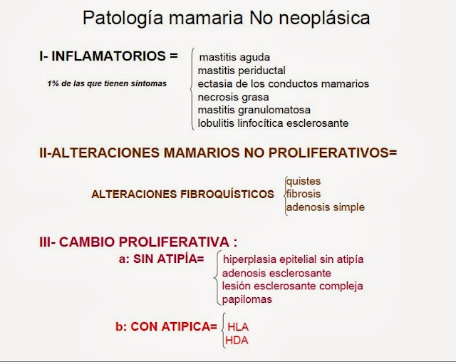 Patologia B: MAMA: INFLAMACIONES.LESIONES EPITELIALES BENIGNAS. TUMORES