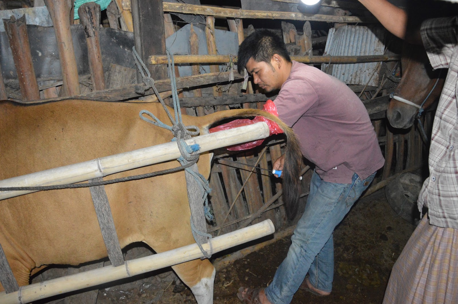 INSPIRASI DAN MOTIFASI: 2016