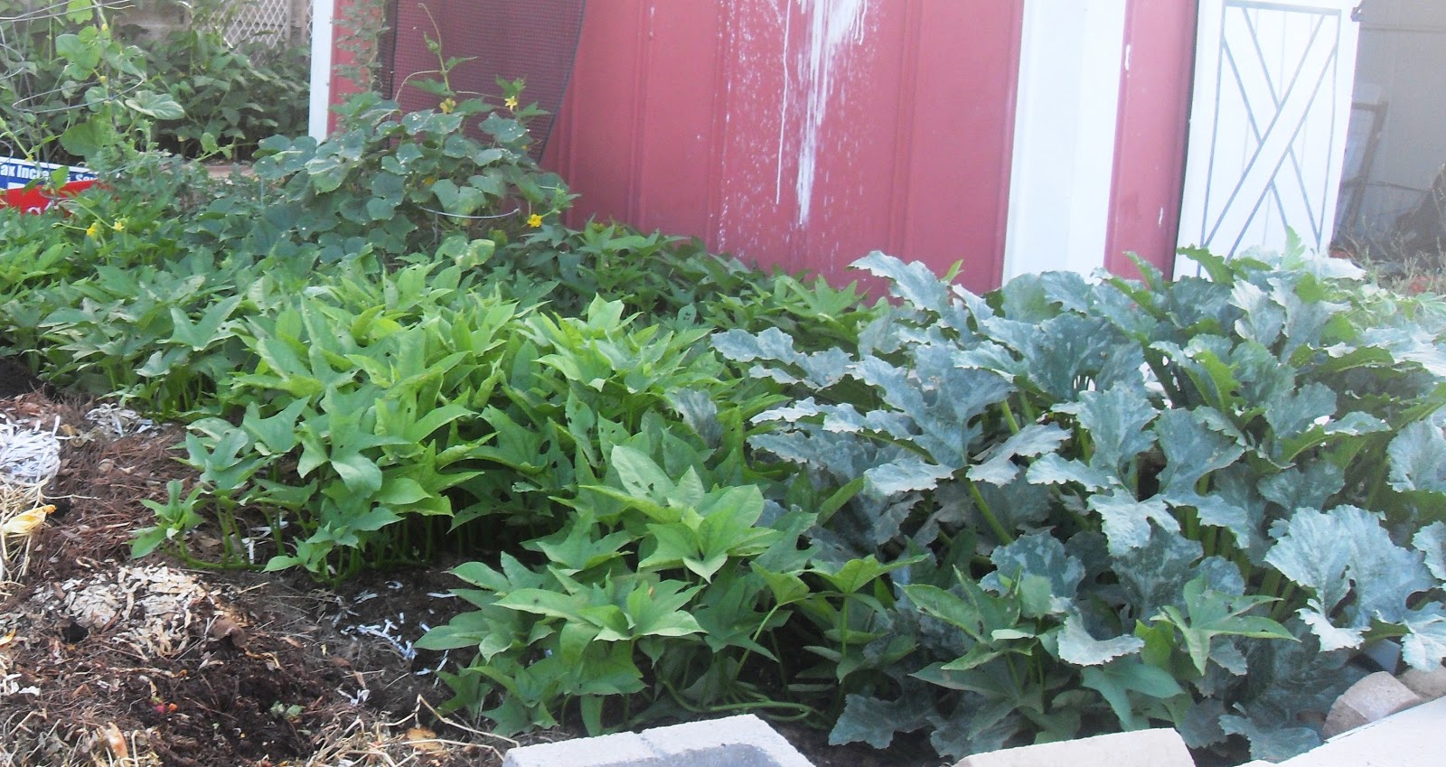 The Scientific Gardener: Gardening in Layers