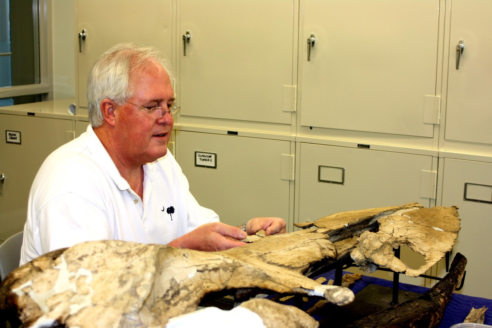 The Coastal Paleontologist: The Coastal Paleontologist returns!