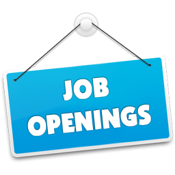 The Rise of Professional Jobs in Delhi/NCR | Theincircle.com: Hire ...