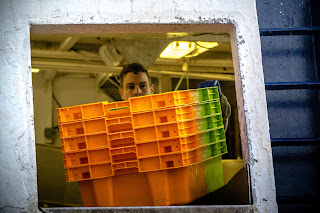 Through the Gaps! - Newlyn Fishing News: Mid week market in Newlyn ...