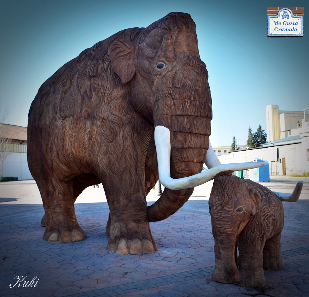 Fotos Me Gusta Granada: Mamut en Padul