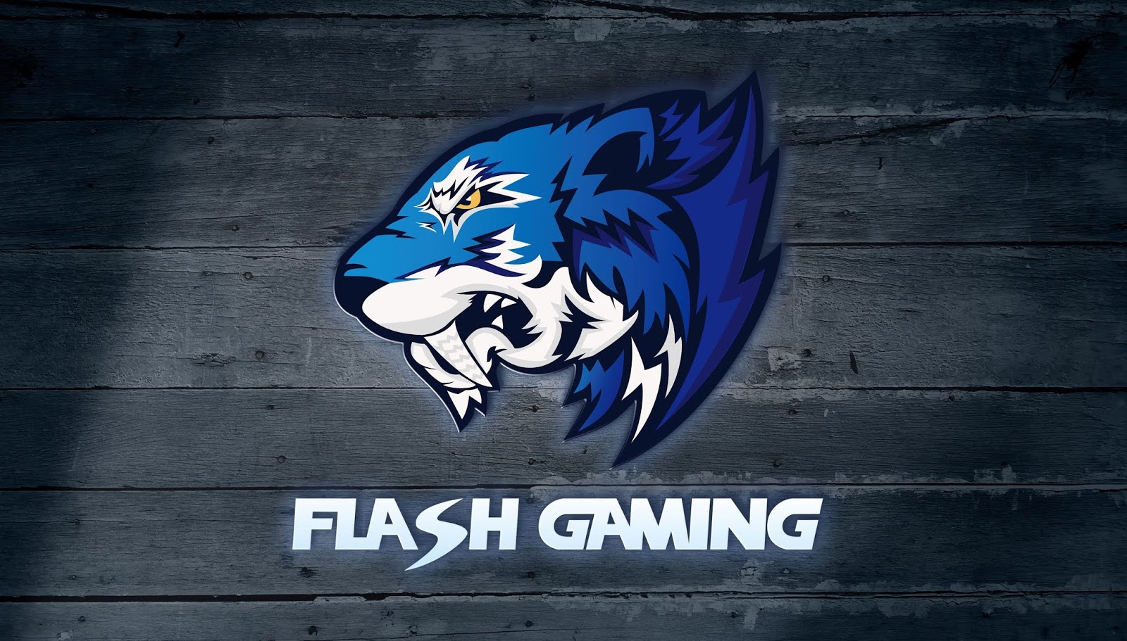 Flash Gaming CEO 「今の中国シーンは本当に悪い」 - CSGO4JP