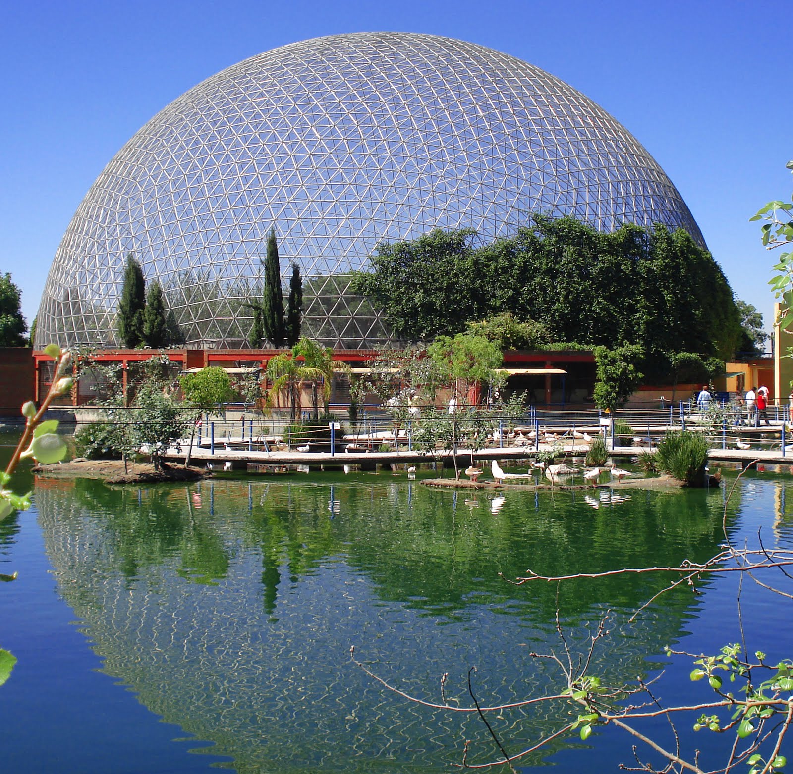 Ecoturismo México: aviario puebla