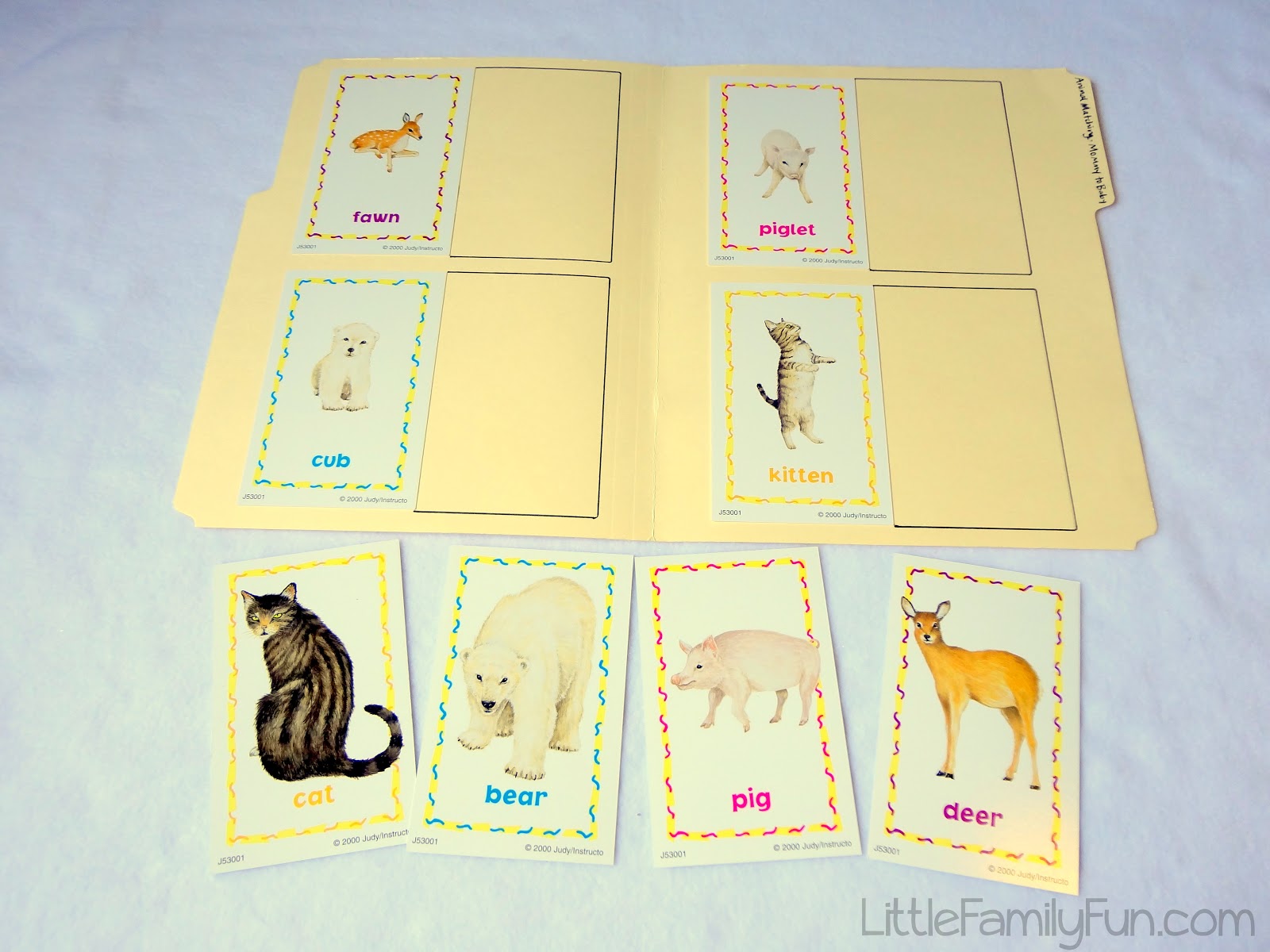 Little Family Fun: File-Folder Games: Flash Cards
