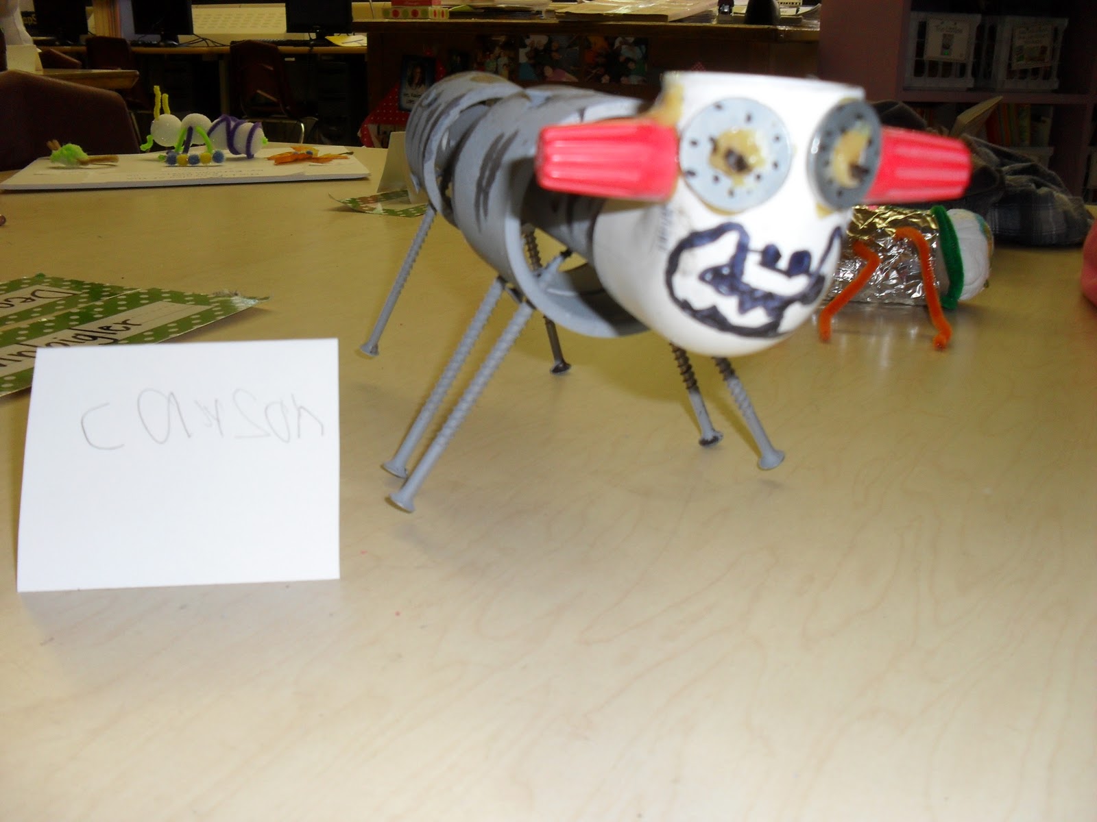 Mrs. Stewart's Blog: Insect Projects :)
