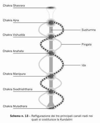 Spirit Musings: Medical Cadeceus - The interconnectivity between ...