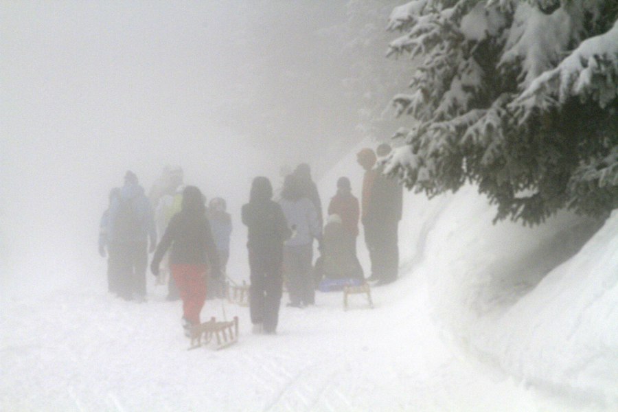 Steve Gilson Photography