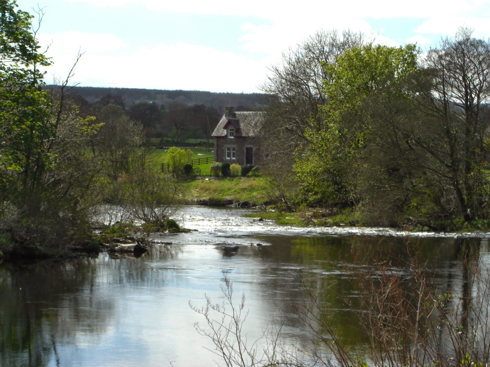 Canoe with Craig: River Earn - Compilation!!
