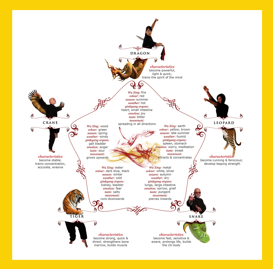 Shaolin Kung Fu Animal Styles - Best Martial Art